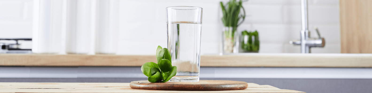 The importance of water filters: Why every home should have one | The ...