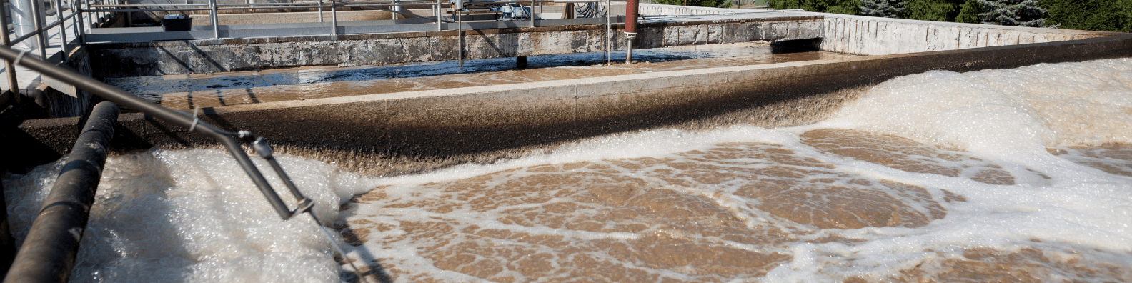 Understanding sediment in water | The Water Filter Factory